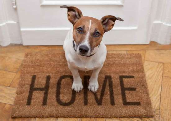 10 Things You Should Never Do in a Rental Home – Page 2 – Habits & Routines