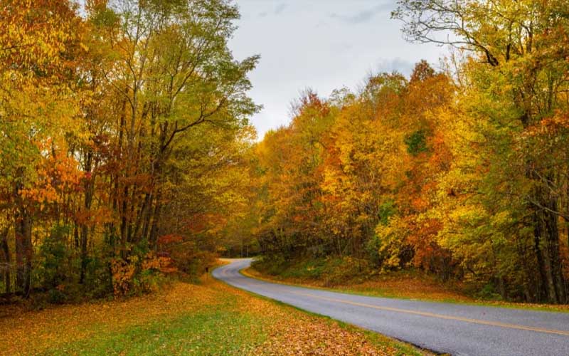 3 Warning Signs You Need to Slow Down When Driving – Habits & Routines