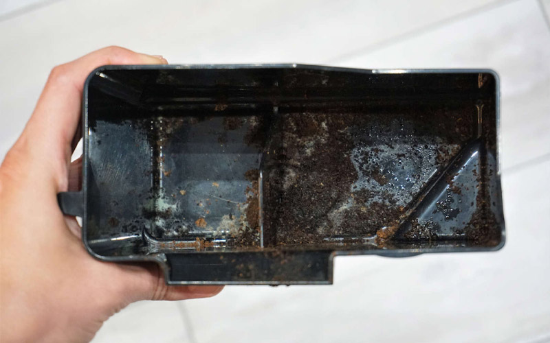 Here’s Why You Must Clean Your Coffee Machine, Health Experts Claim ...