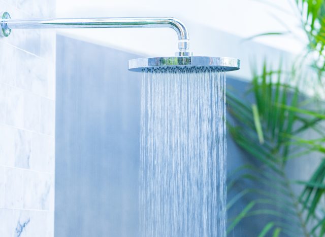 Have a Cold Shower and Reap Surprising Health Benefits – Habits & Routines